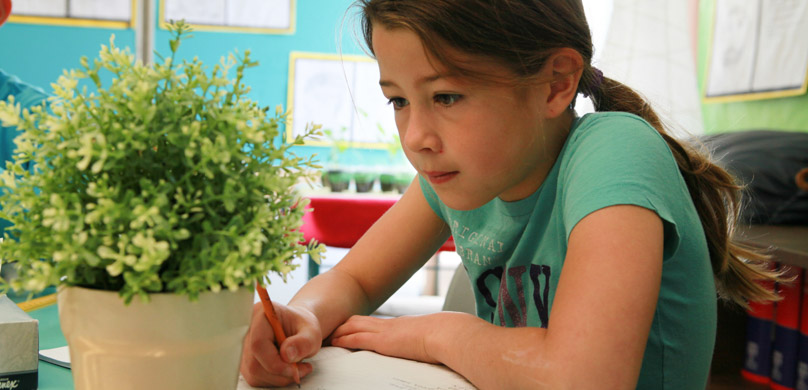 Health & Well-Being - Janet Johnstone School